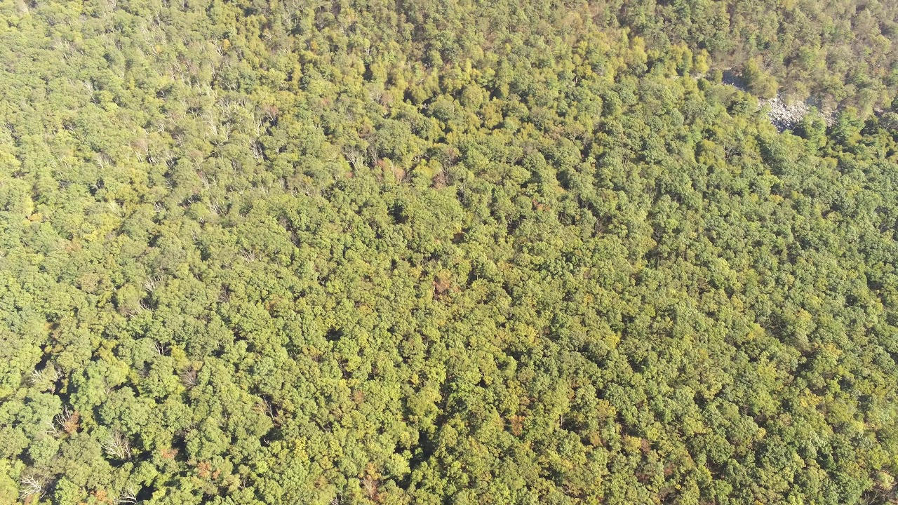 High Rock Cascade Maryland drone video - YouTube