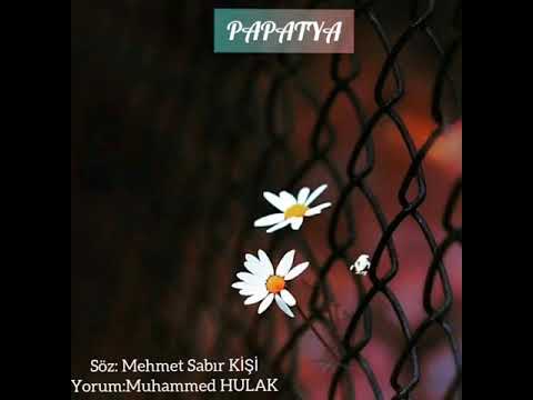 Papatya Şiiri - Mehmet Sabır Kişi