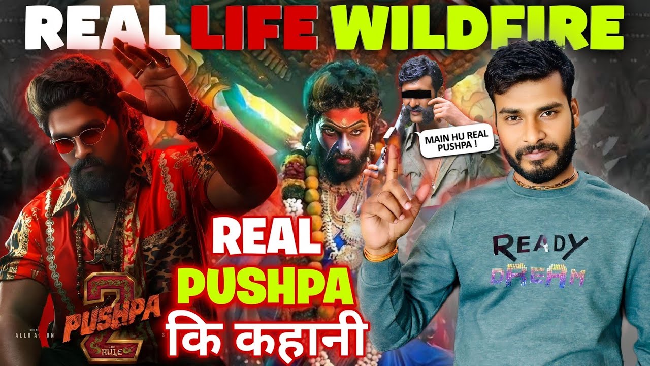 🔥REAL LIFE WILDFIRE | PUSHPA कि REAL कहानी | PUSHPA 3 RELEASE DATE ...
