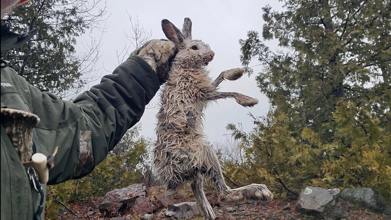 First time hunting with Bones(the dog) - YouTube