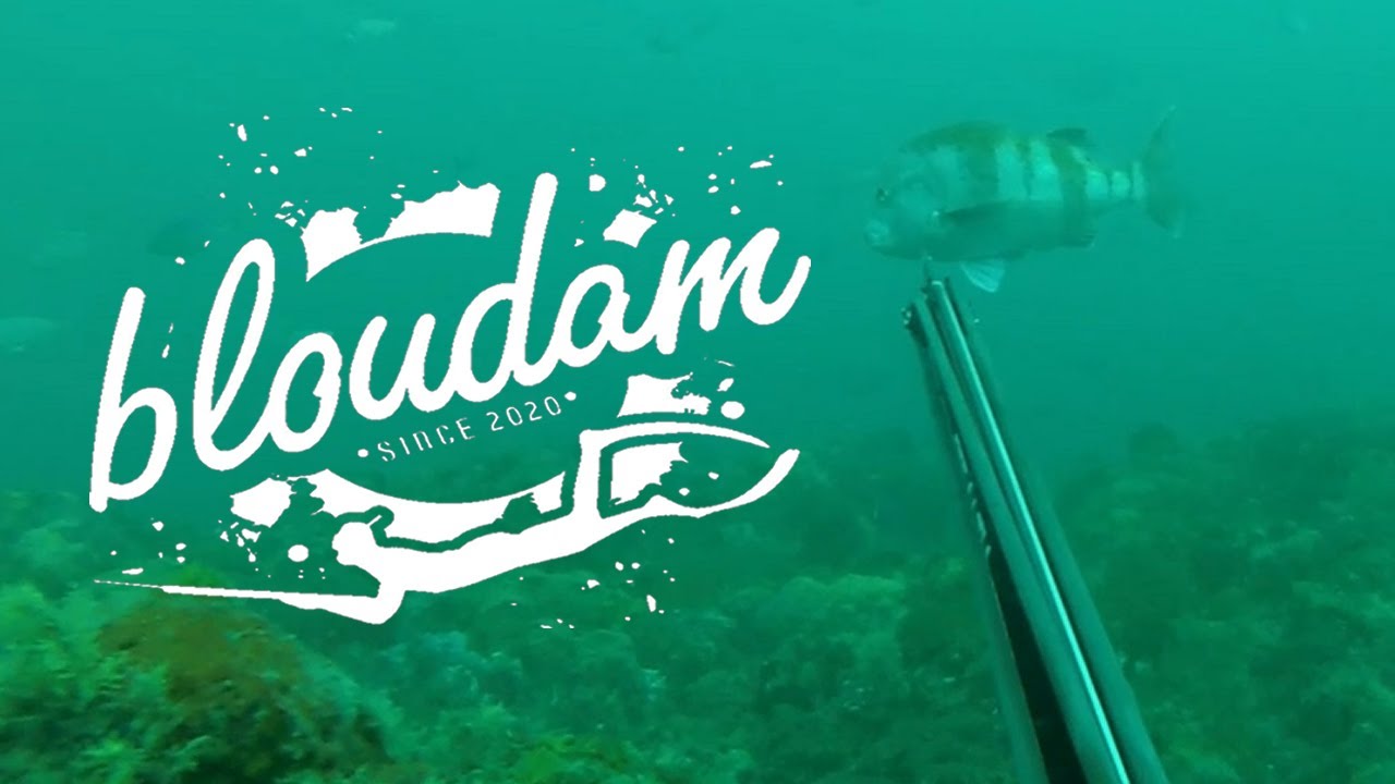 RED STUMPNOSE CATCH COOK - SPEARFISHING SOUTH AFRICA 2020 - YouTube
