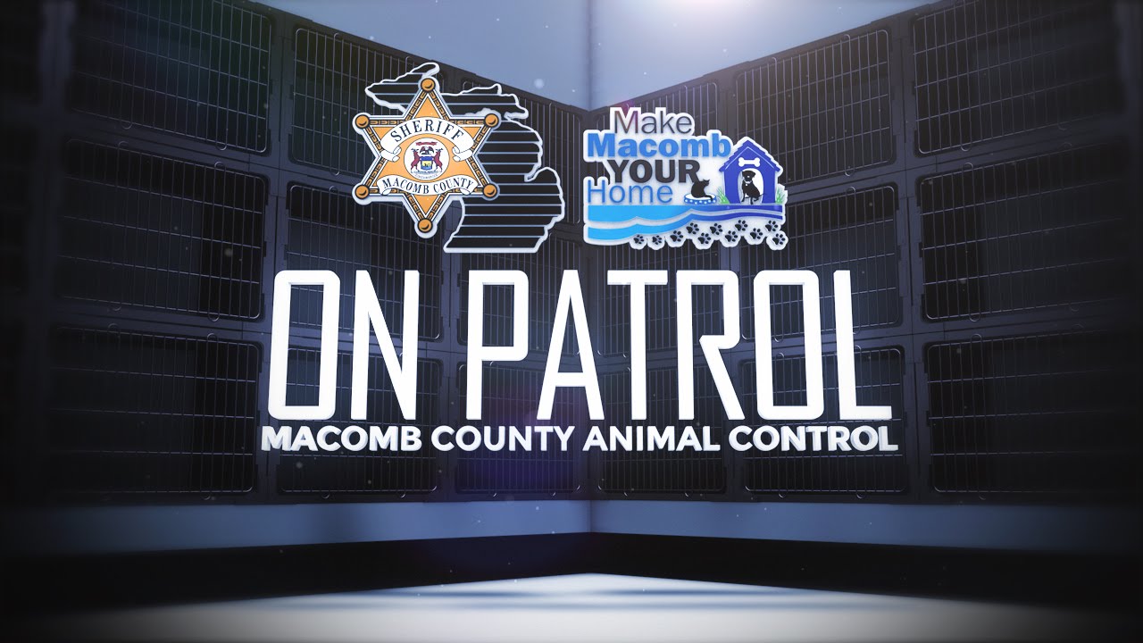 On Patrol with the Macomb County Animal Control - Sept. 2015 - YouTube