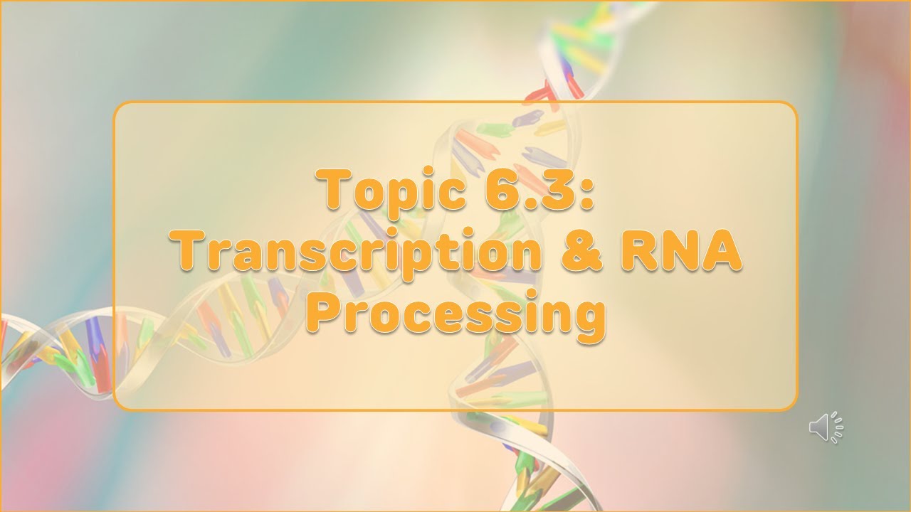 AP Biology - Topic 6.3: Transcription & RNA Processing - YouTube