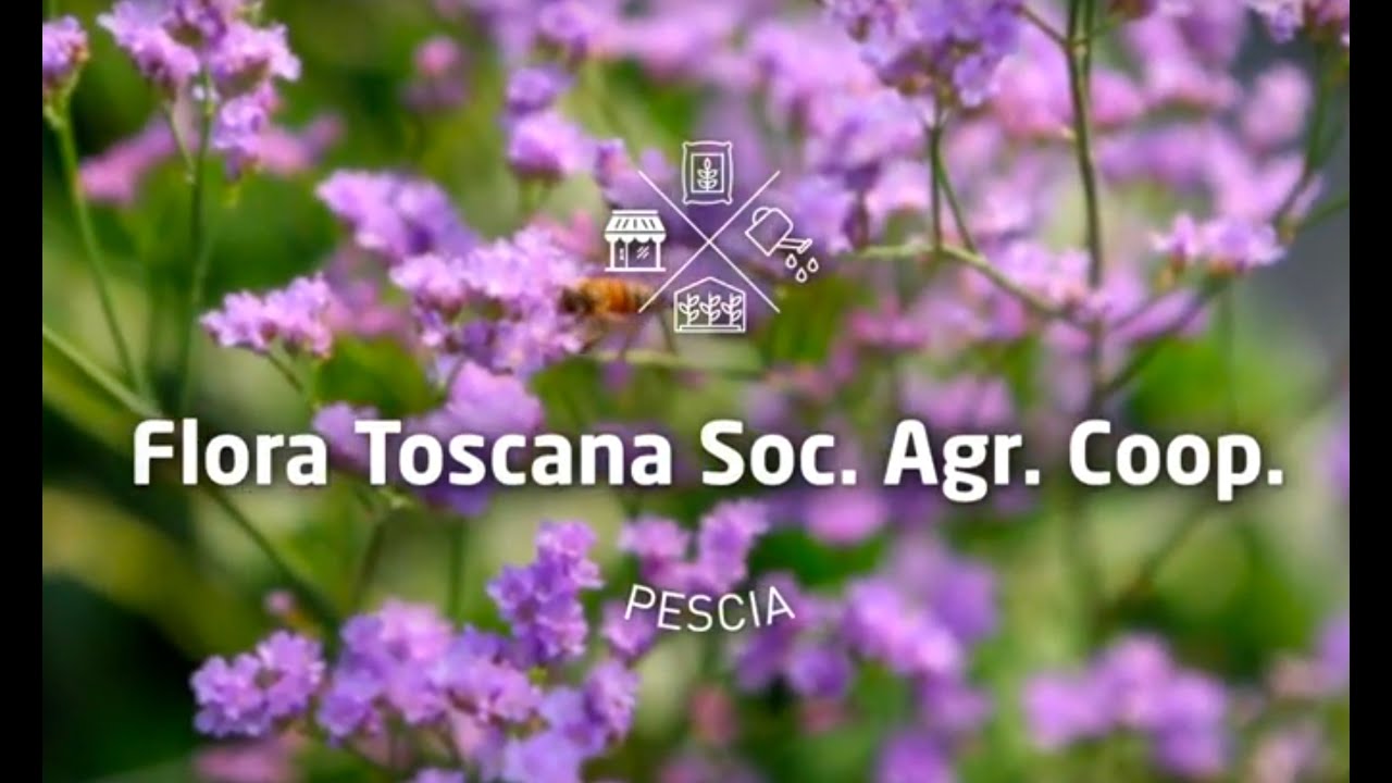 Flora Toscana - I SOCI - YouTube