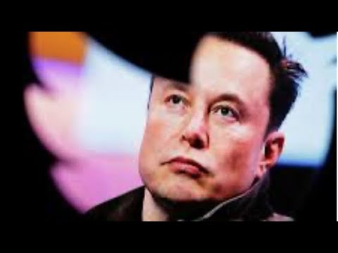ELON MUSK MUST BE STOPPED!!!! - YouTube