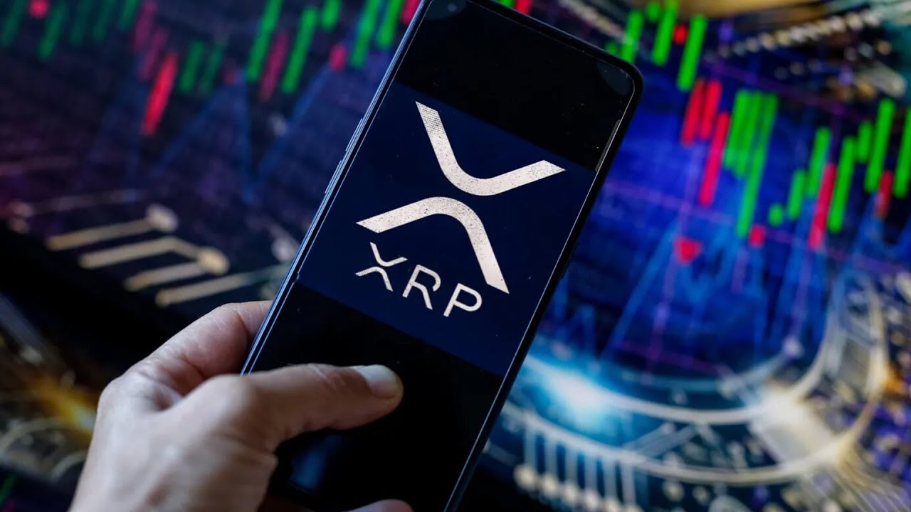 XRP RIPPLE HBAR INVENTOR DROPS XRP BOMBSHELL !!!!! - YouTube
