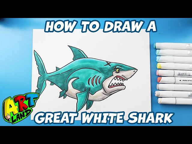 How To Draw A Great White Shark Step By Step For Kids
