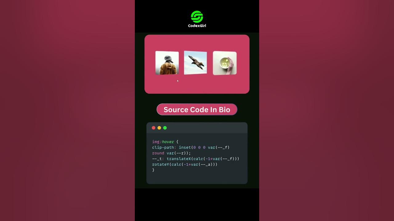Software Engineer Status For Whatsapp Coder Status 2023 Programmers