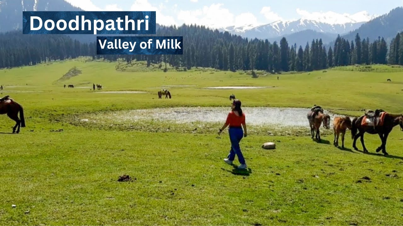Doodhpathri |Valley of Milk | Kashmir tourist places | doodhpathri ...
