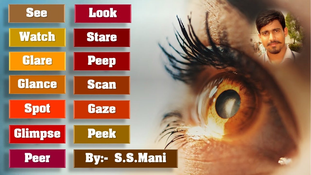 Differences Between In See Look Watch Stare Glare Peep Glance Scan Spot differences-between-in-see-look-watch-stare-glare-peep-glance-scan-spot