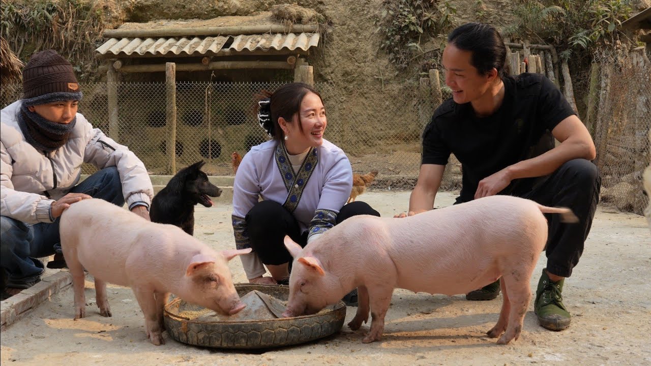 Jon and Vang Hoa Are Happy to Buy New Pigs: The Journey to Restore the ...
