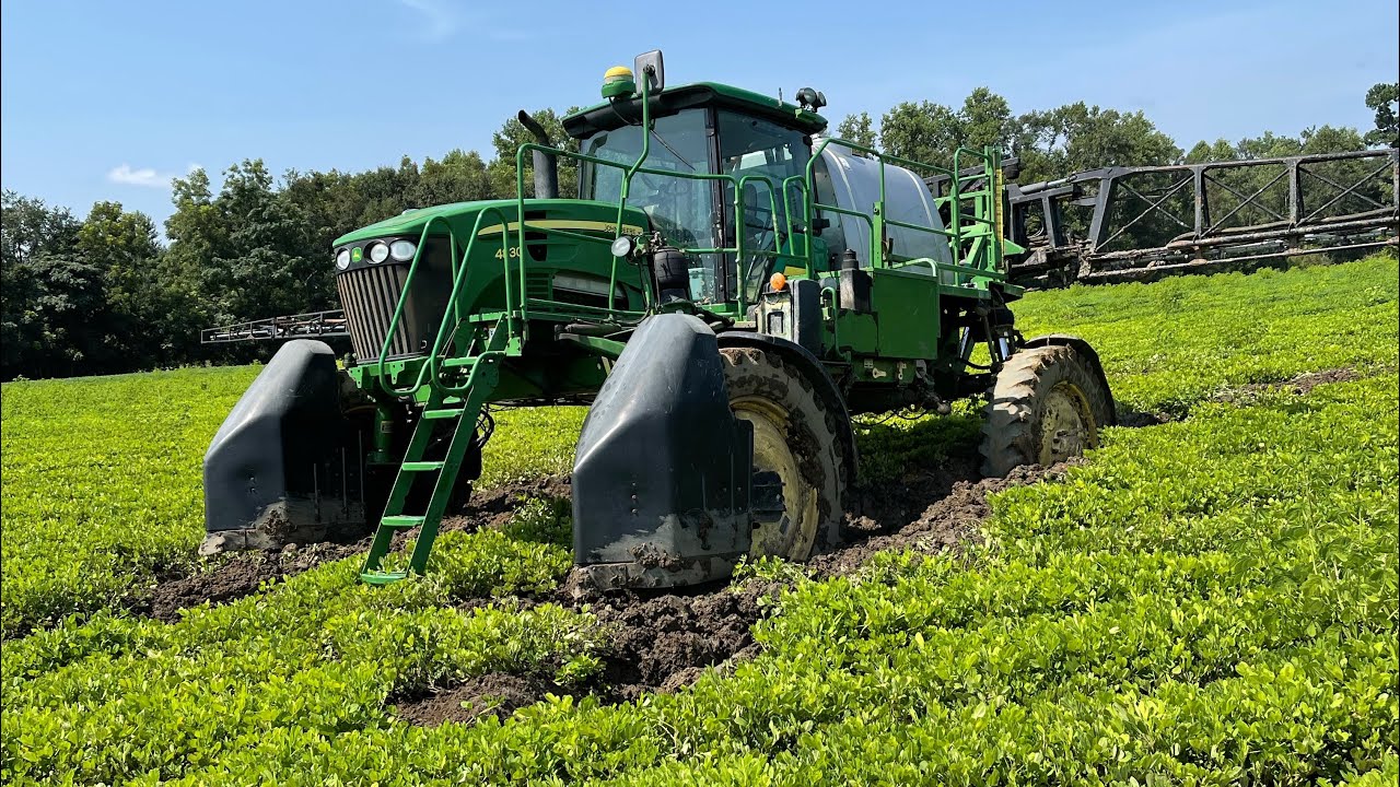 Spraying peanuts - YouTube