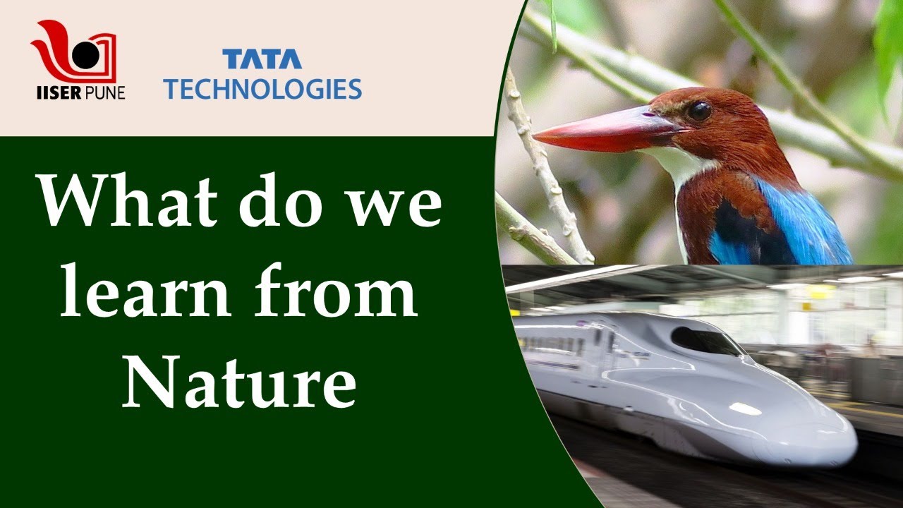What do we learn from Nature? - YouTube