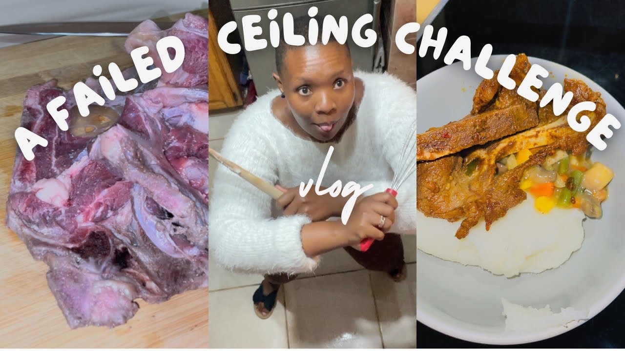 A Failed Ceiling Challenge || South African YouTuber - YouTube
