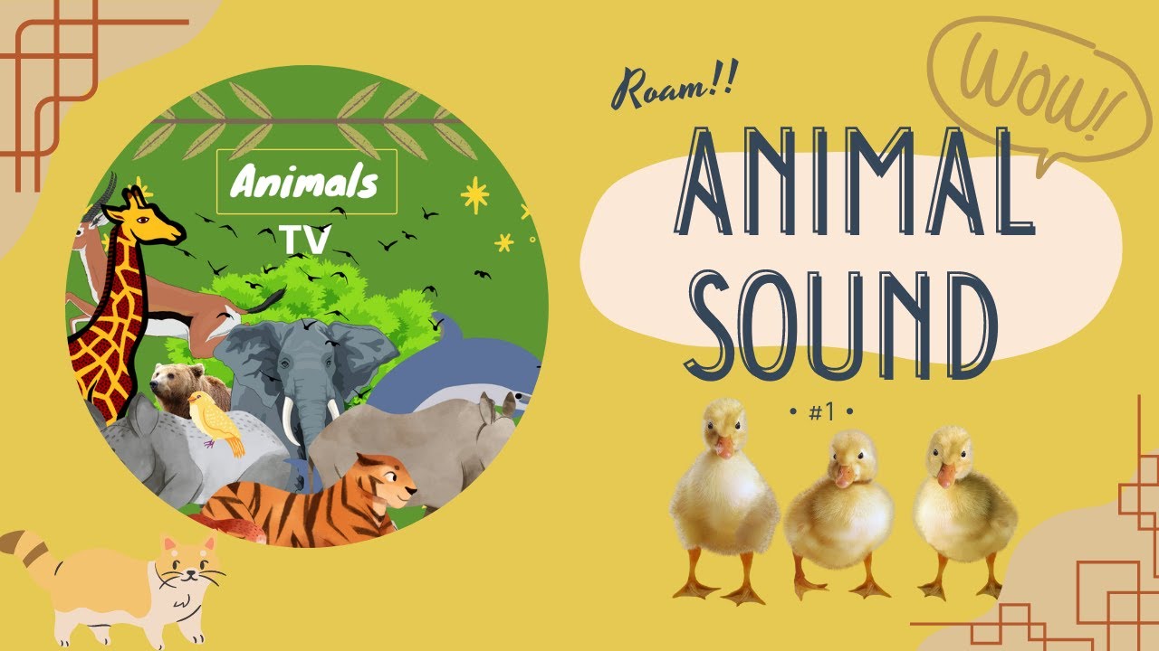 Learning : Every Sound and Images of Animals - YouTube