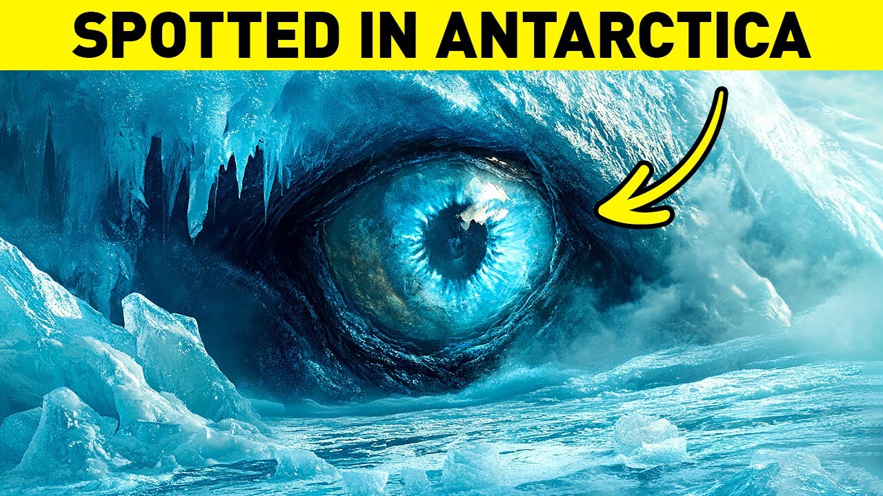 Insane Creatures Discovered Beneath The Ice In Antarctica - YouTube