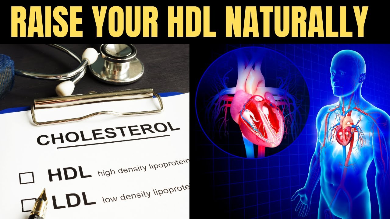 Raise Your HDL naturally (Improve Good Cholesterol) - YouTube