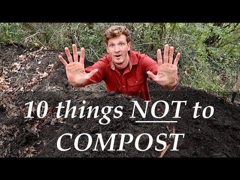 Will Directly Burying Manure Keep Flies From The Area