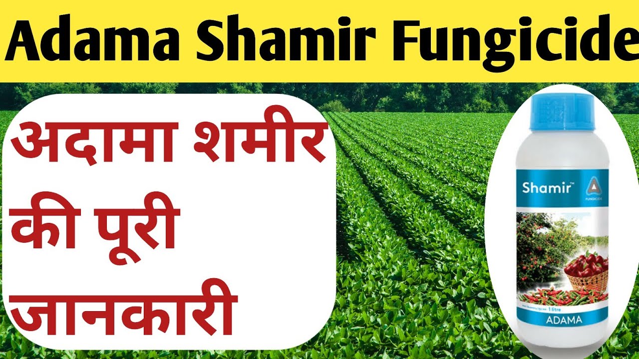 Shamir Fungicide/Adama Shamir Fungicide/Contact,Systemic,Fungicide ...