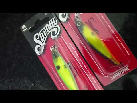 ISCA SAVAGE 60 ROBALOS TUCUNARÉ DOURADO TRAIRA  #fishing #viralvideo #terapia #viral 