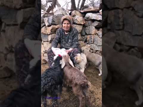 ender balkir dokunma keyfine yalan dunyanin