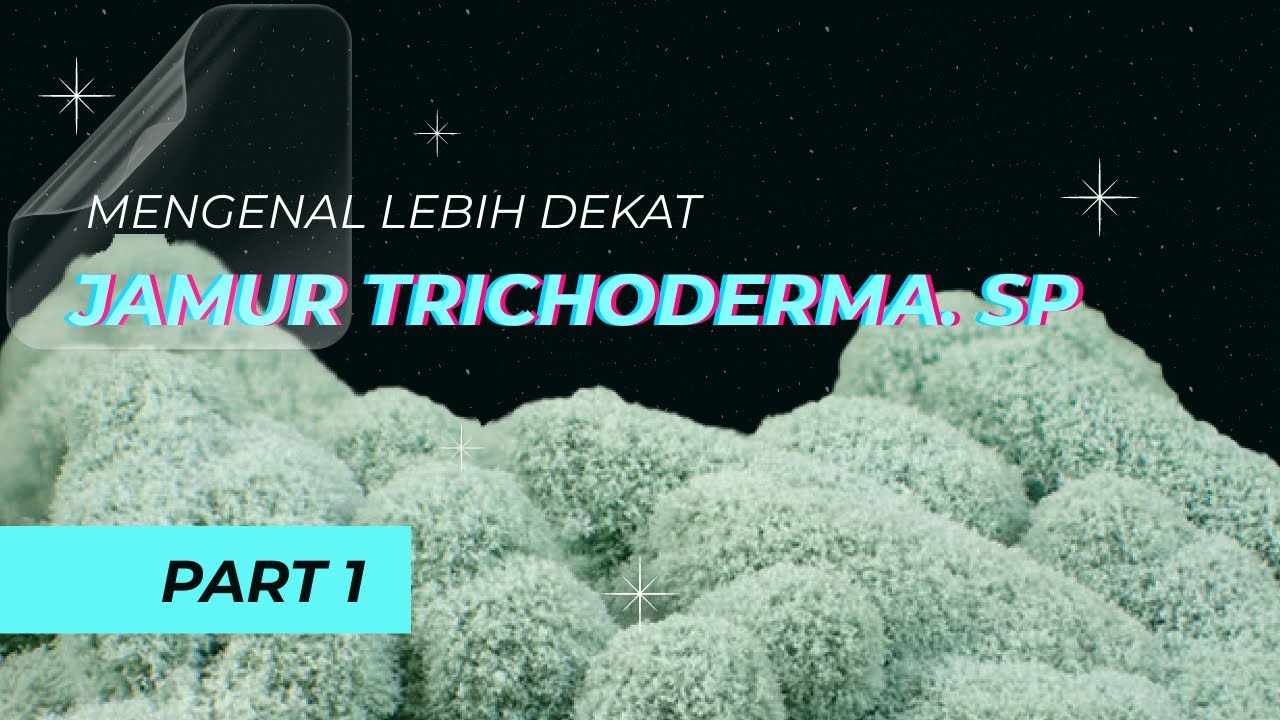 MENGENAL LEBIH JAUH TENTANG JAMUR TRICHODERMA @griyotani-indonesia ...