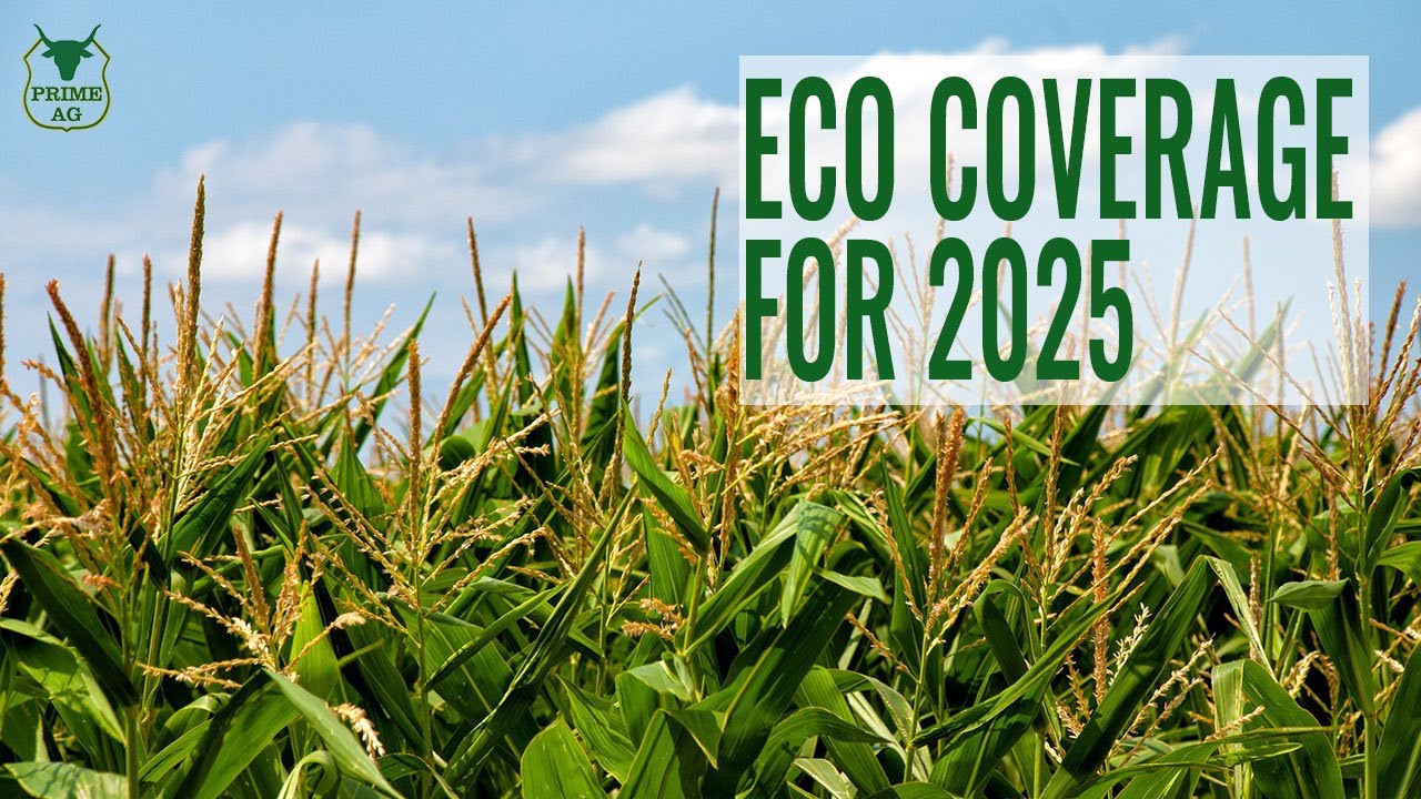 ECO Crop Insurance Coverage for 2025 - YouTube
