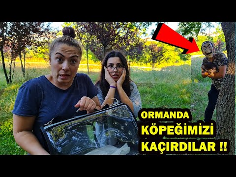 GERÇEK HAYATTA HELLO NEIGHBOR ORMANDA KÖPEĞİMİZ PRENSES LUİ'Yİ KAÇIRDI EYLÜL LAL