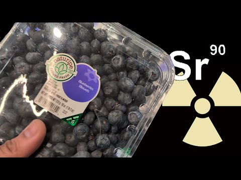 Chernobyl Berrie Analysis - YouTube