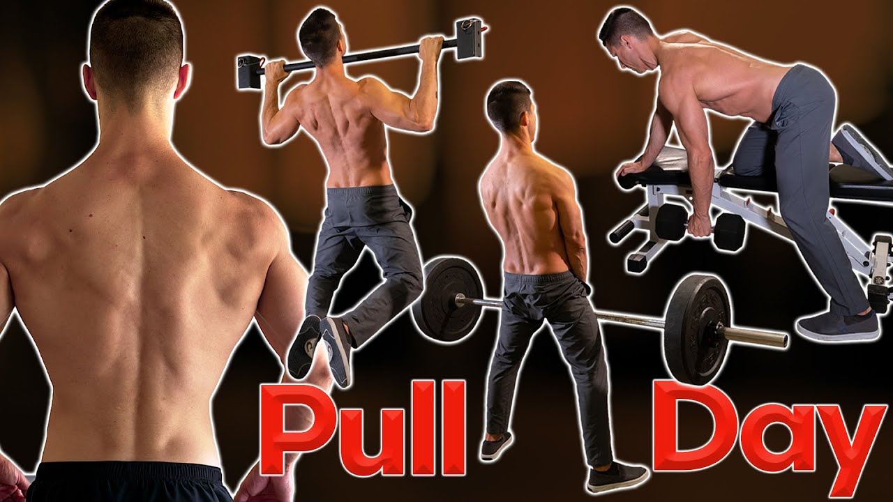 LIVE Weightlifting Workout for Hypertrophy – Training BACK Muscles ...