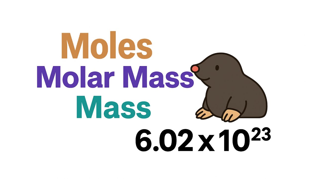 Interconvert Moles, Molar mass, and Mass - the ONLY guide you NEED ...