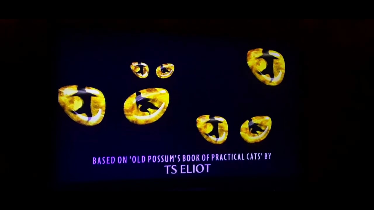 Opening And Closing To Cats (1998) 2019 DVD - YouTube