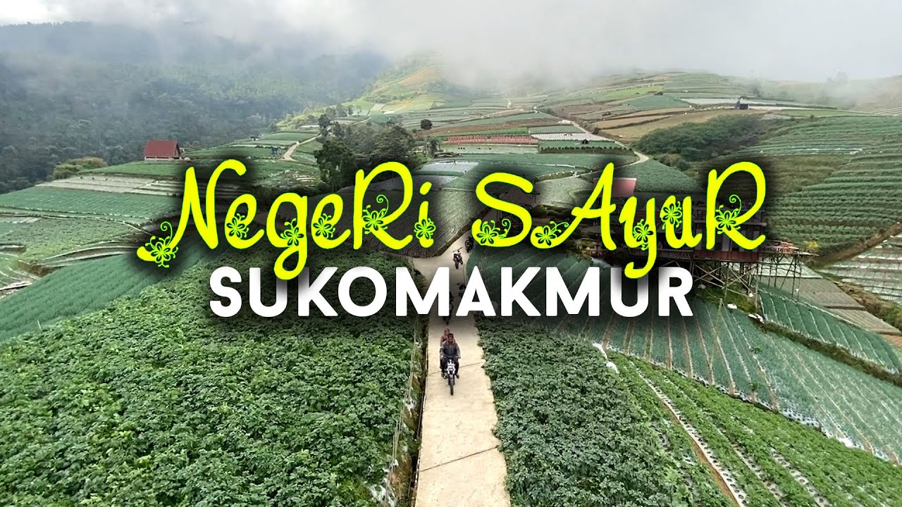 Desa subur makmur penuh sayur di lereng gunung Sumbing ini bernama ...