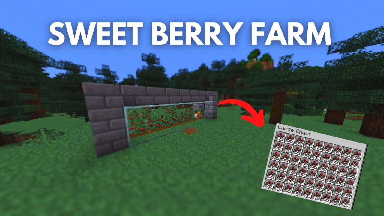Minecraft EASY Automatic Sweet Berry Farm Tutorial! 1.19+ - YouTube