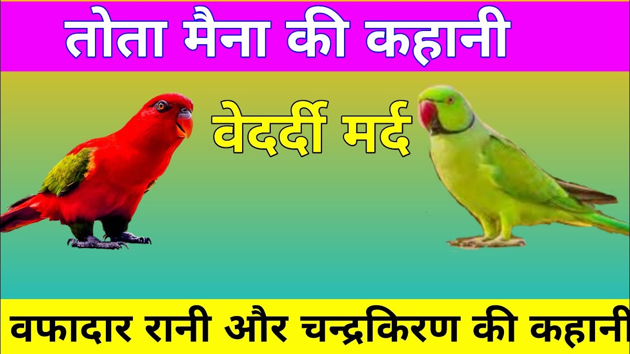 tota maina ki kahani. bedardi mard. rani chandrkiran ka kissa. tota maina ka kissa. - YouTube