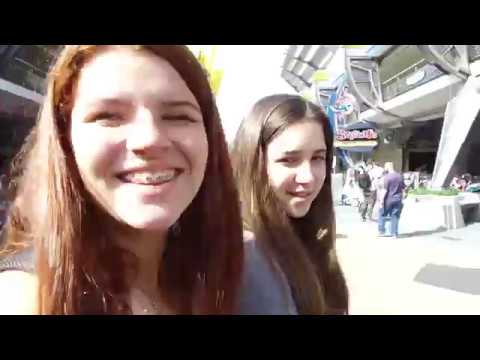 NEWIT 16 D Magic Kingdom