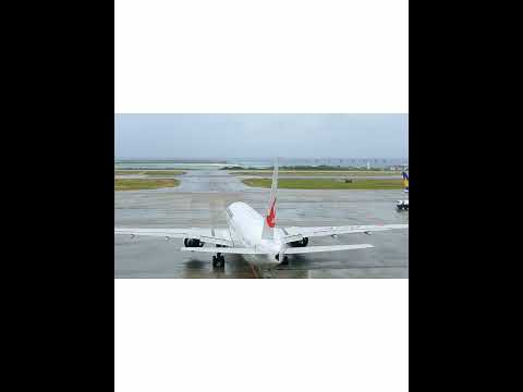 B777 rudder and anti-balance tab#Shorts - YouTube