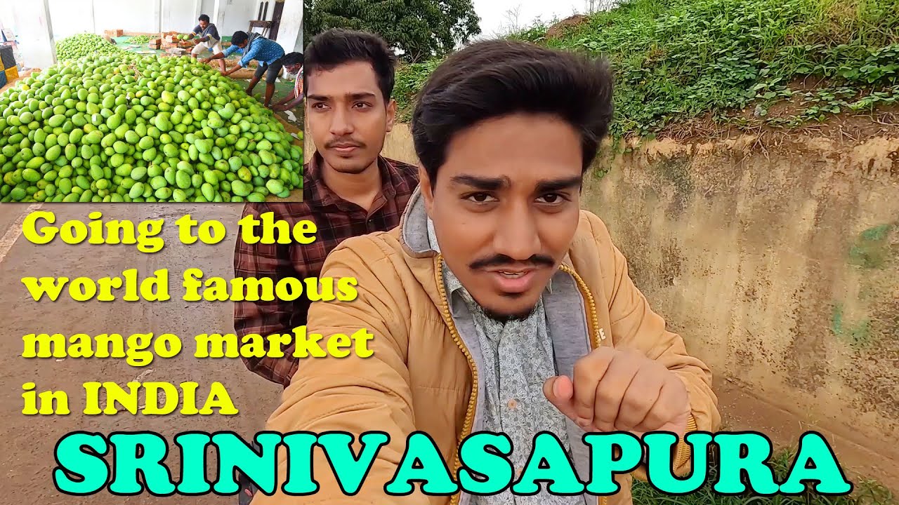 Srinivaspur, Biggest and World famous mango market in India. - YouTube
