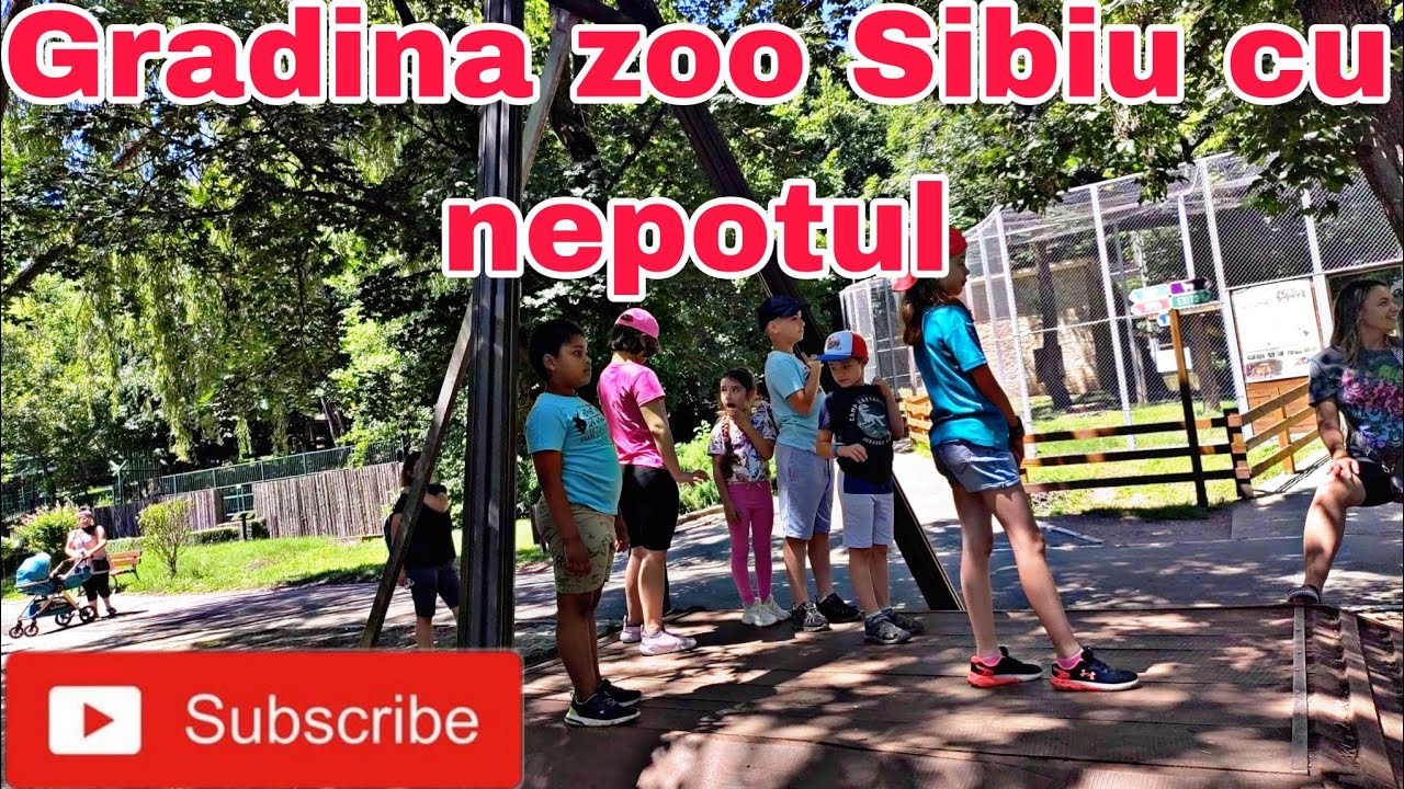 Gradina Zoo Sibiu ne-am jucam am explorat noile animale #vlog - YouTube