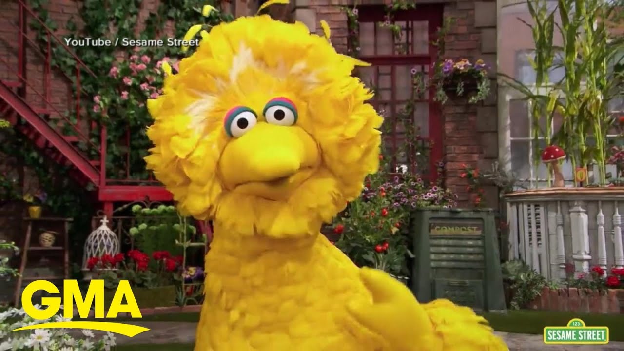 Catching up with Big Bird - YouTube