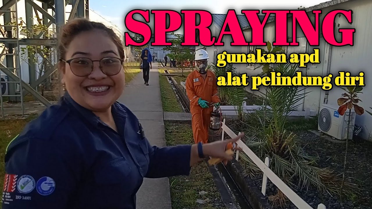 PEST CONTROL APD SPRAYING@sahabatembe403 #spraying - YouTube
