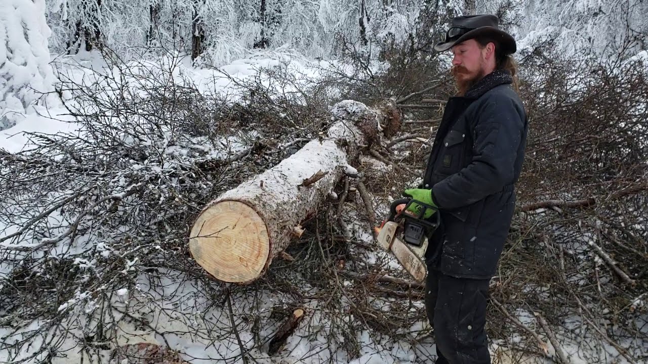 Cutting Firewood in Winter in Alaska, Pt. 3 (Bucking Rounds) - YouTube