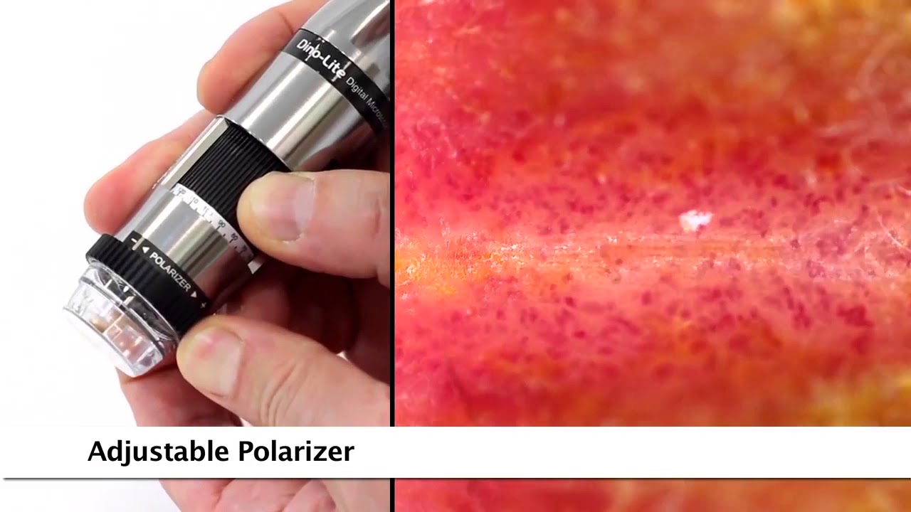 Dino-Lite Handheld Microscope: Education Applications - YouTube