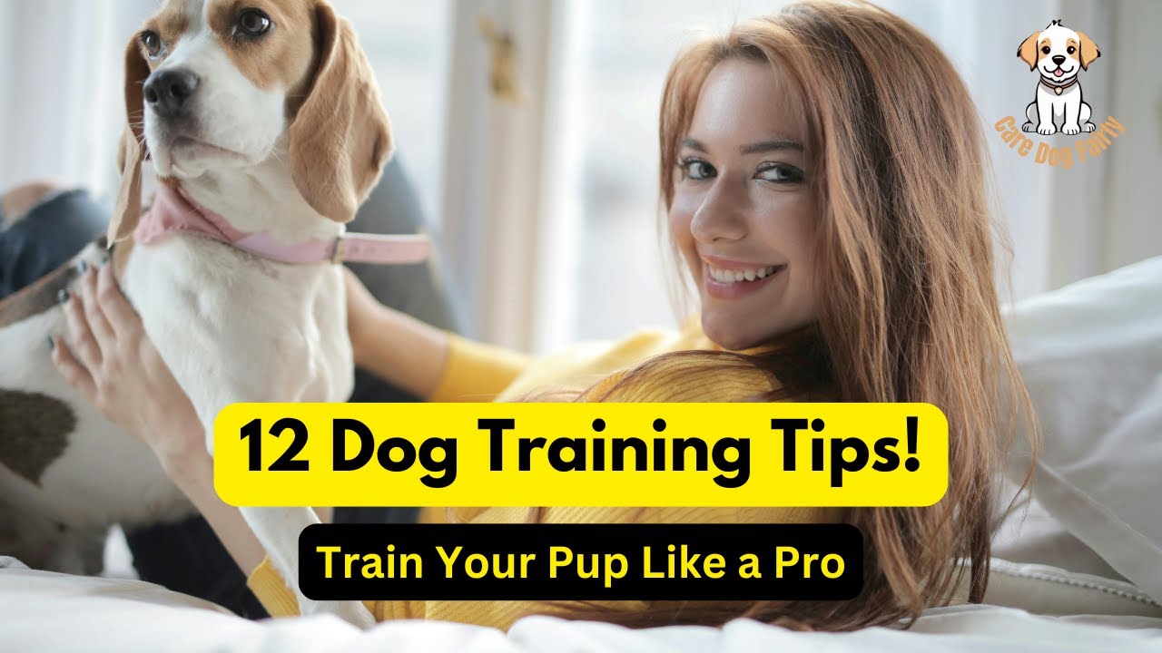 12 Essential Dog Training Tips for New Dog Owners! - YouTube