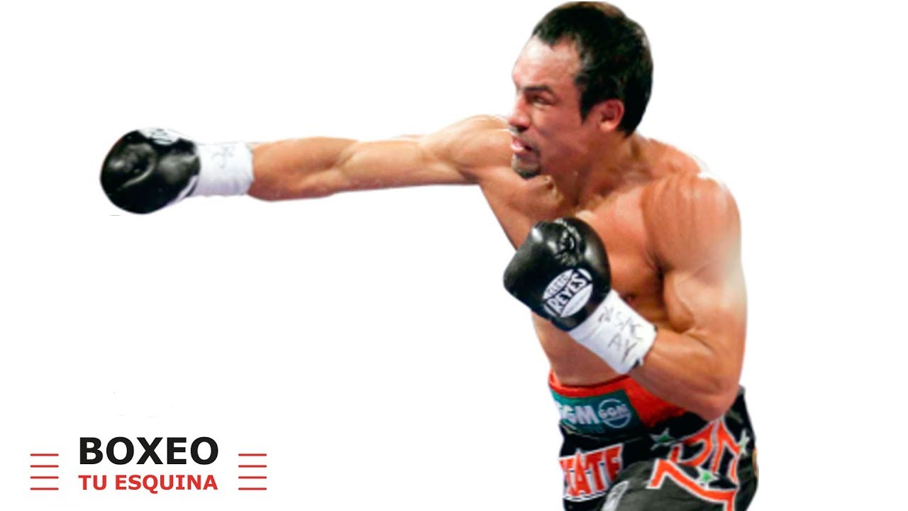 Juan Manuel Marquez TOP KO's (Título Mundial) - YouTube