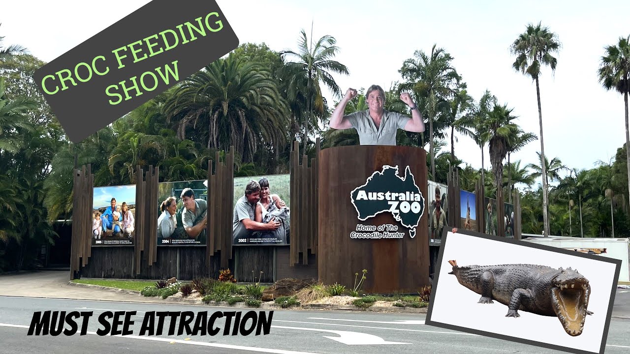 #crocodile HUNTER CROC FEEDING - YouTube