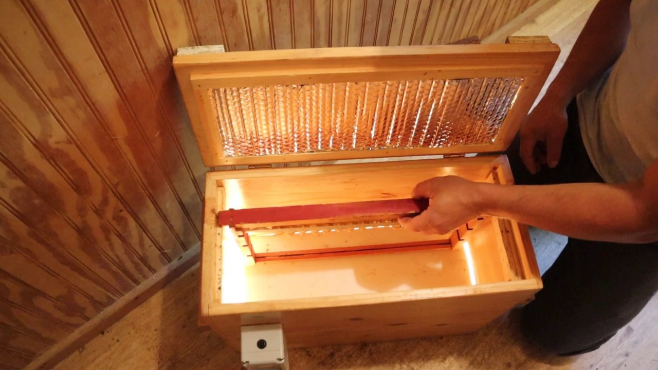 Placing Queen cells into our incubator to speed things up! - YouTube