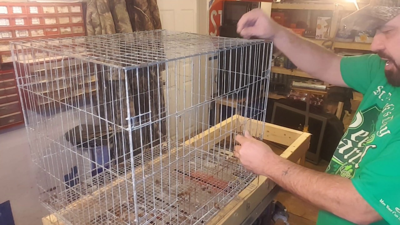 Building a Animal cage - YouTube