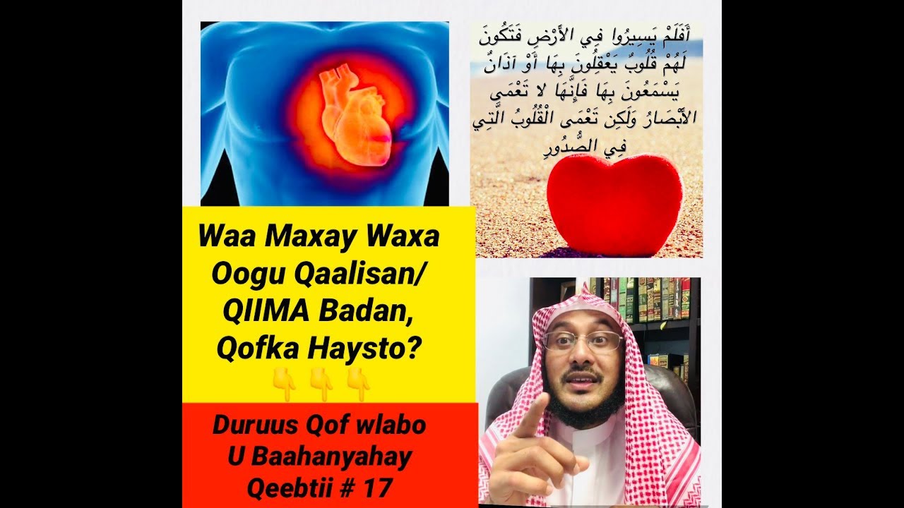 Q #: 17** Waa Maxay Waxa Oogu Qaalisan/QIIMA Badan, Qofka Haysto? - YouTube