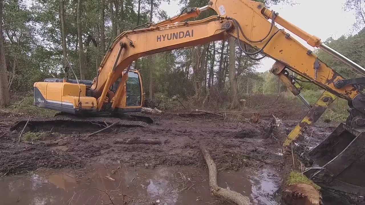 Swamp|Clearing A Tree-Dug Ditch - YouTube